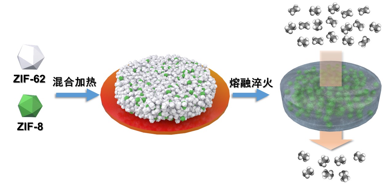 我校仲崇立教授团队创制出MOF玻璃混合基质膜